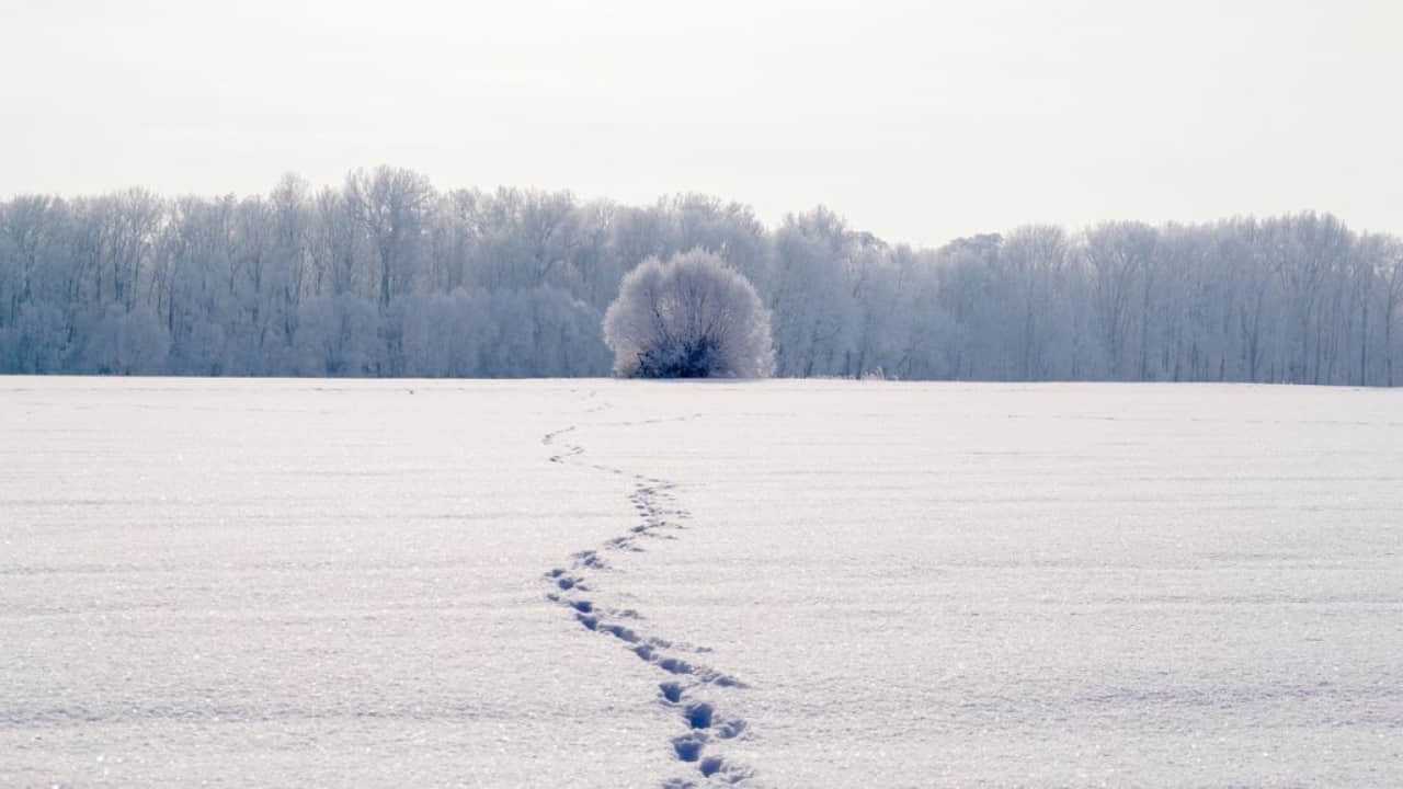 GDB 的 7 个单步调试命令 - LinuxStory