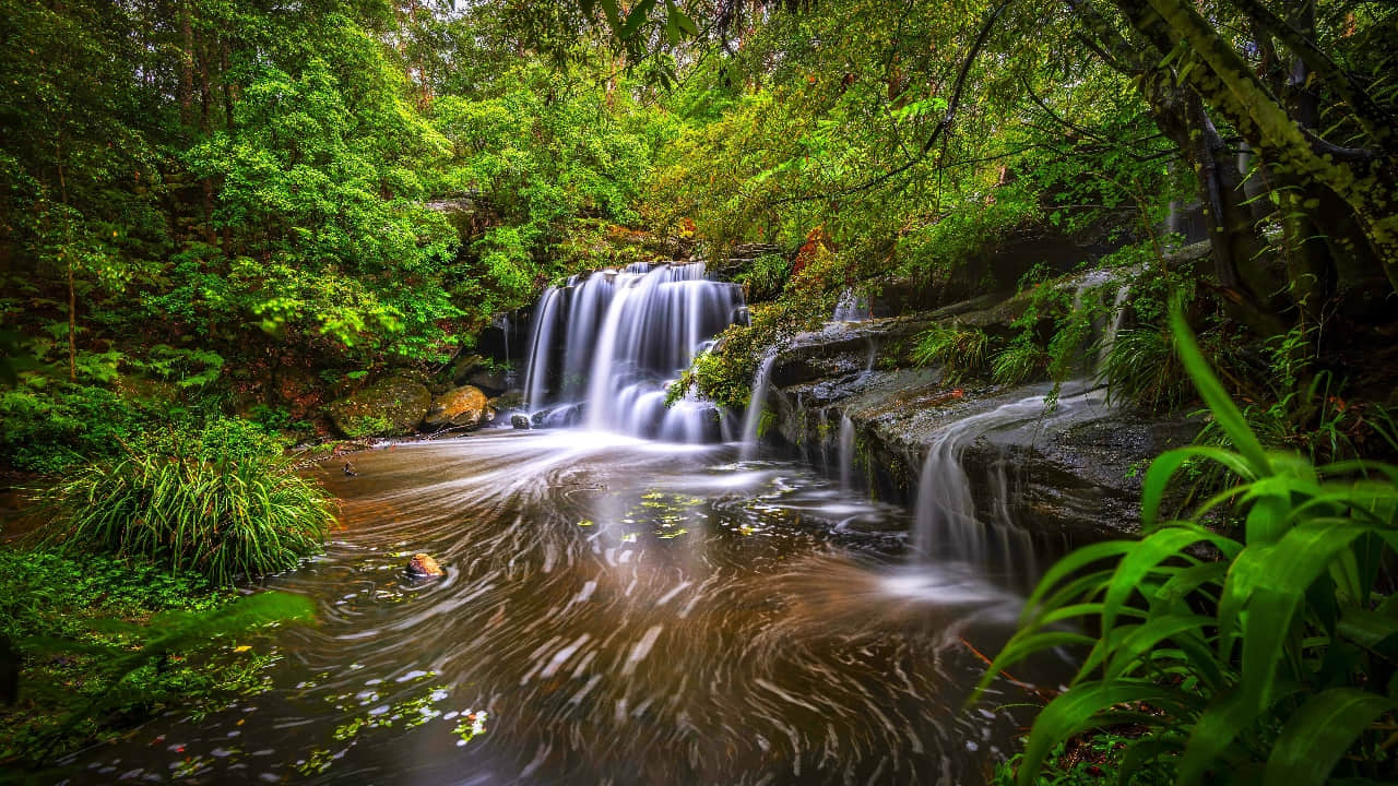 使用 Python 读写文件 - LinuxStory