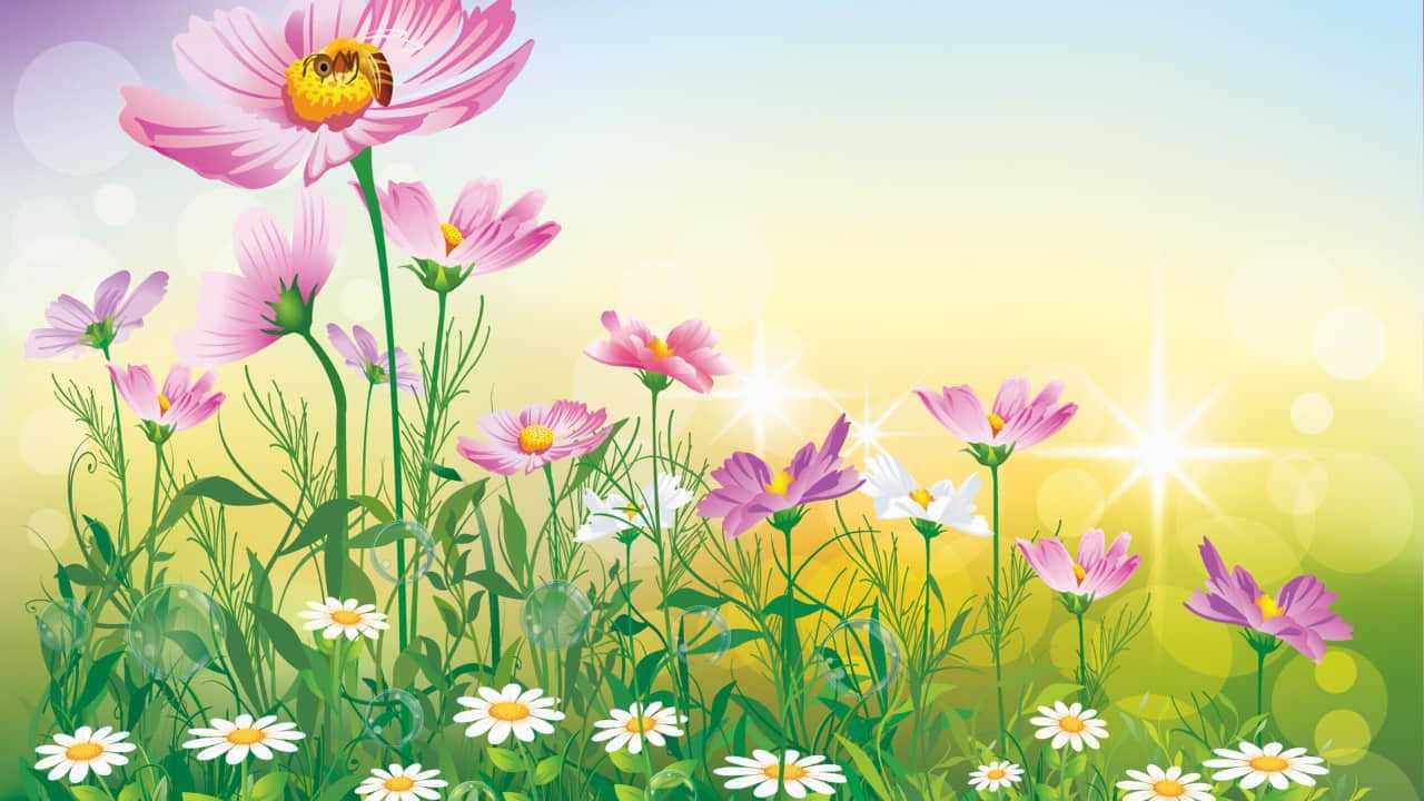 使用 Linux 的 diff 和 patch 对文件进行协作 - LinuxStory