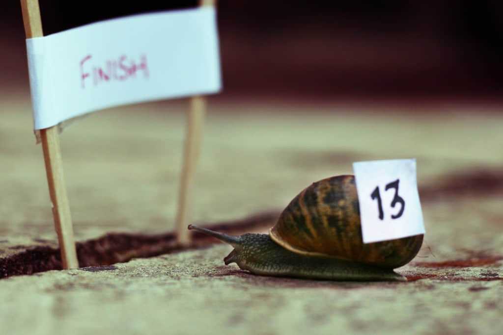 为什么 Python 这么慢？ - LinuxStory