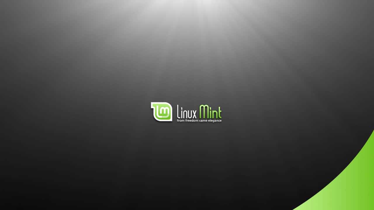 使用 Windows 11 双引导安装 Linux Mint - LinuxStory