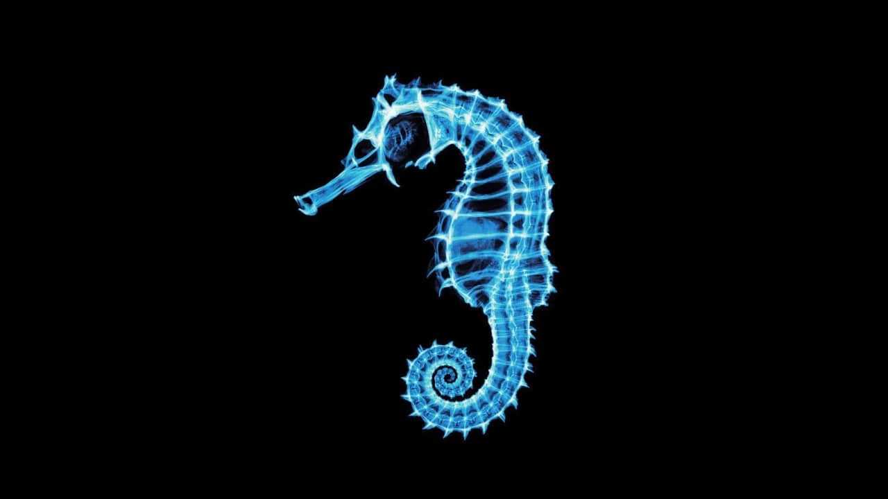 Seahorse：在 Linux 中管理你的密码和加密密钥 - LinuxStory