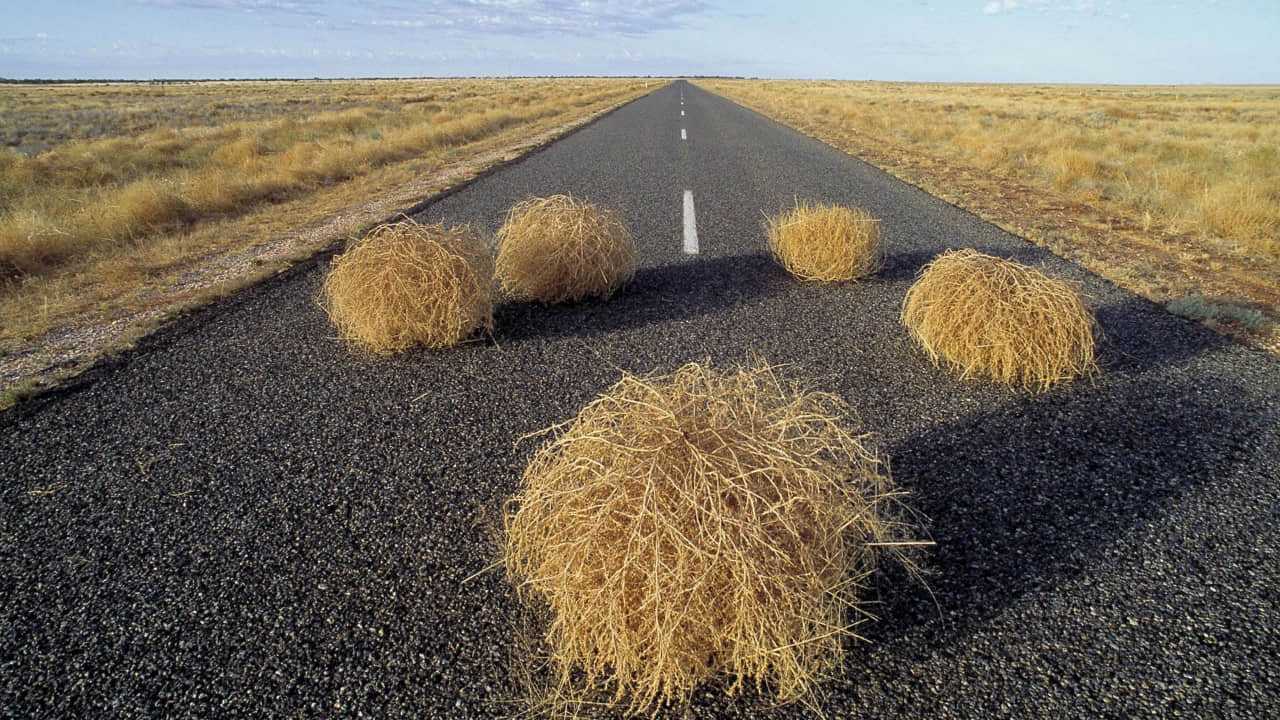 7 個最好的 Linux 滾動發行版 - LinuxStory