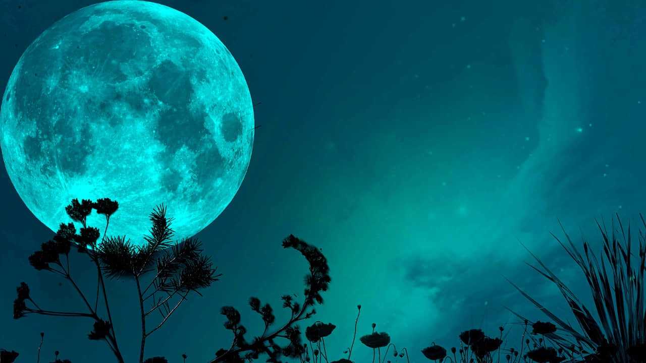 Lua 循环：如何使用 while 和 repeat until - LinuxStory