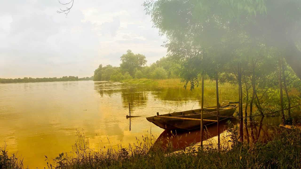 在 Flutter 移动应用程序中创建一个列表 Linuxstory