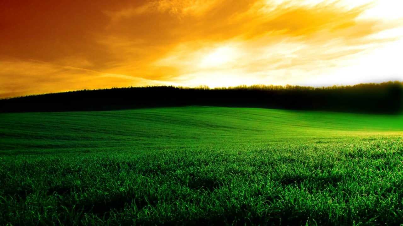 使用 PDF Mix Tool 执行常见的 PDF 编辑任务 - LinuxStory