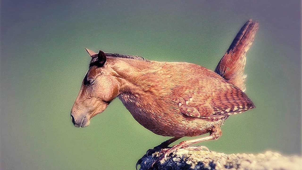 Python 突变测试介绍 - LinuxStory